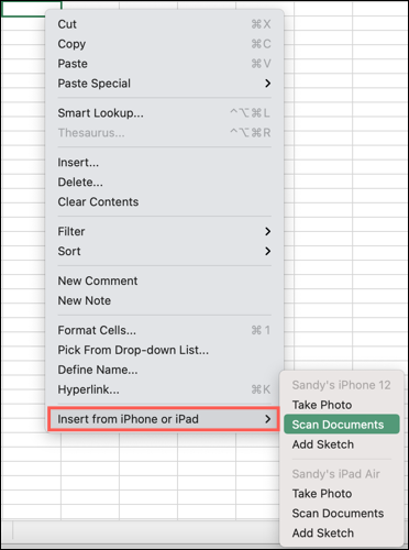 How To Insert Data From A Picture In Microsoft Excel For MacOS